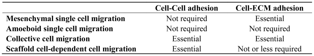 Cell Adhesion and Its Endocytic Regulation in Cell Migration during ...