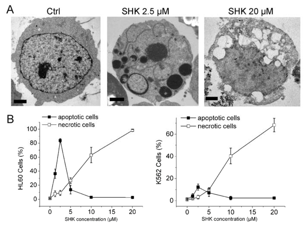Nec-1 Enhances Shikonin-Induced Apoptosis in Leukemia Cells by ...