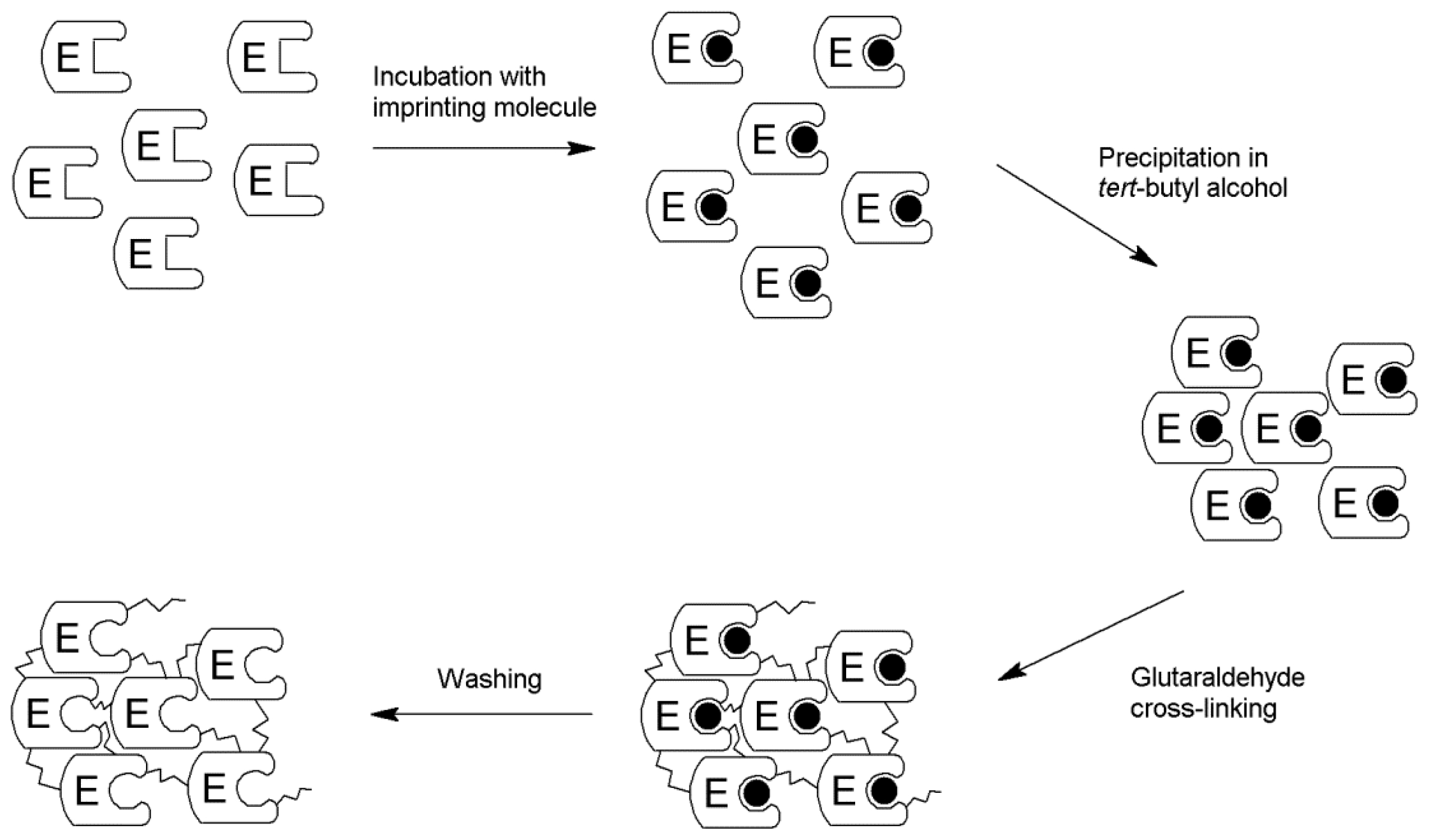An Imprinted Cross-Linked Enzyme Aggregate (iCLEA) of Sucrose ...