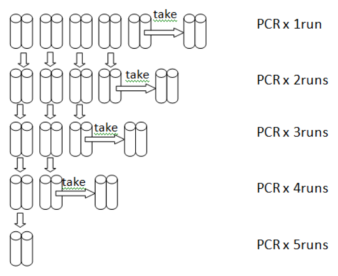 A Novel Low Temperature PCR Assured High-Fidelity DNA Amplification