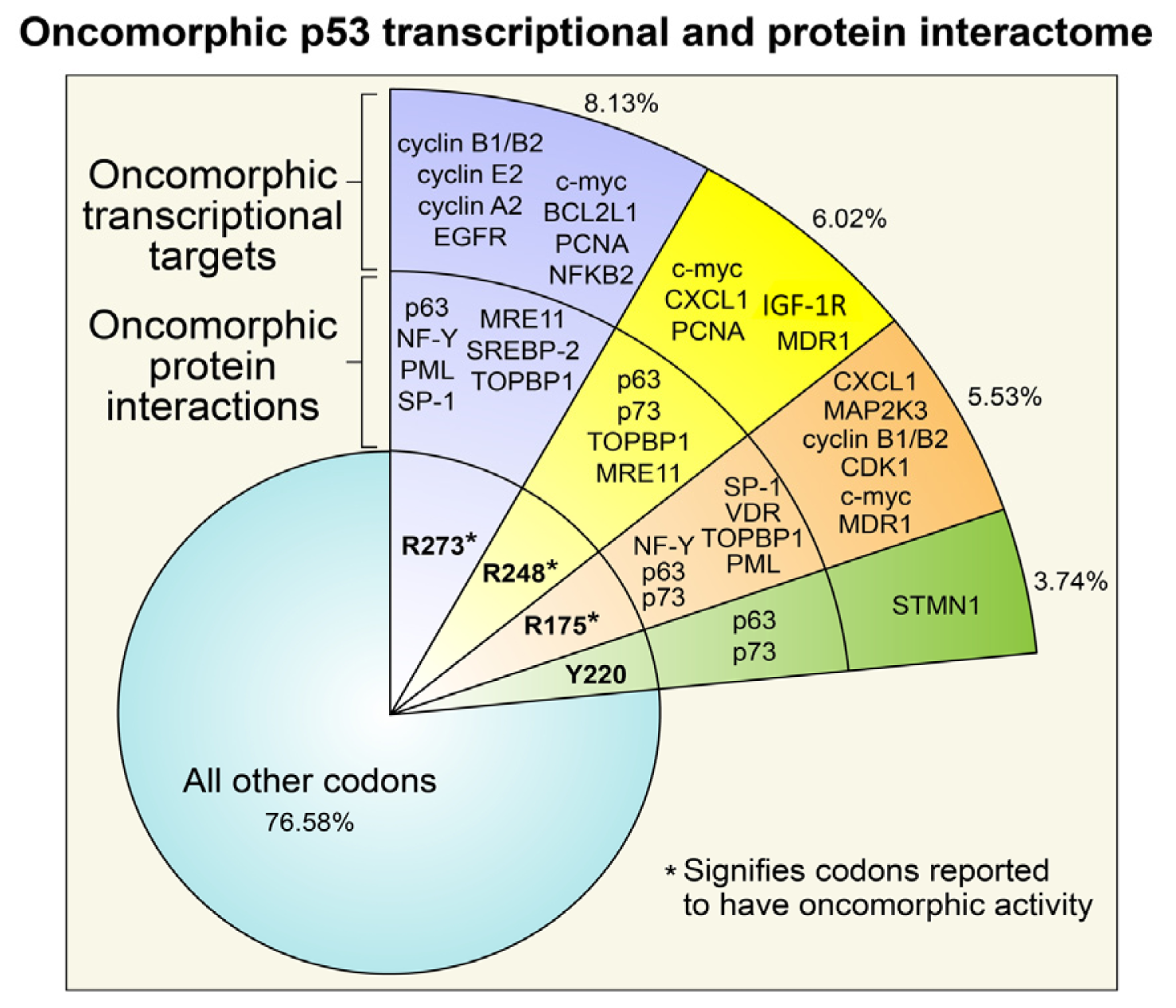 Ijms Free Full Text The Consequence Of Oncomorphic Tp53 Mutations