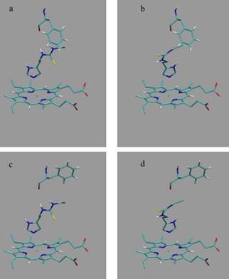IJMS | Free Full-Text | CYP 2D6 Binding Affinity Predictions Using Multiple Ligand and Protein ...