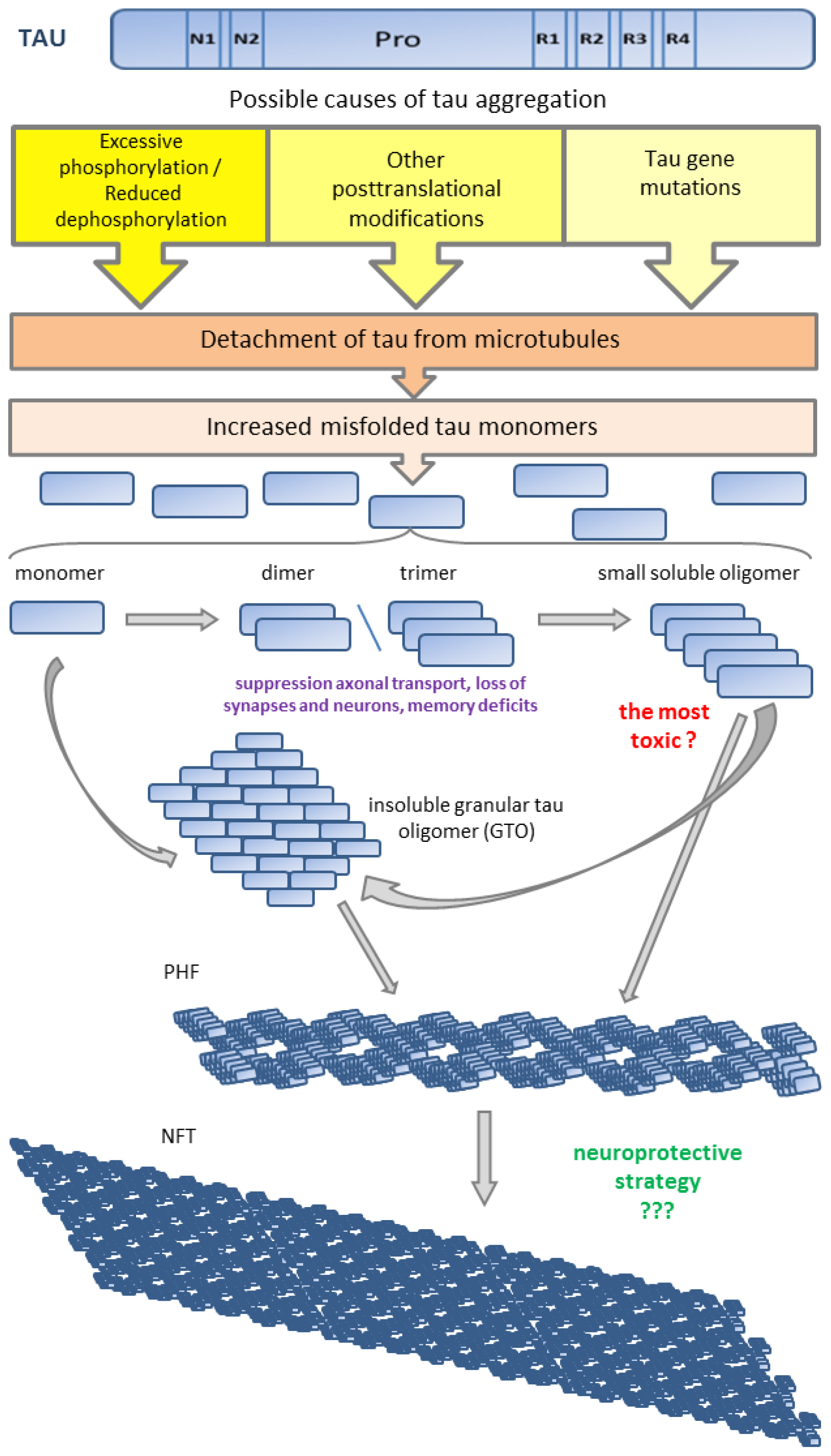Tau Protein Modifications and Interactions: Their Role in Tau Protein Modifications and Interactions: Their Role in