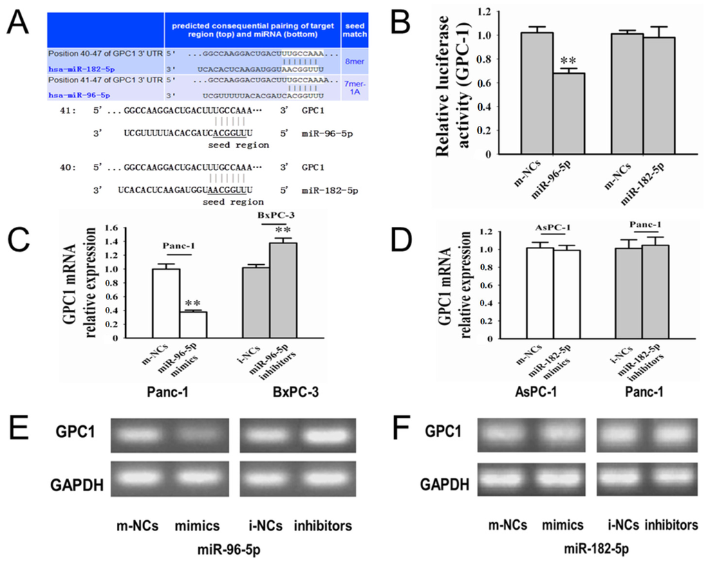 GPC1 Regulated by miR-96-5p, Rather than miR-182-5p, in Inhibition of ...