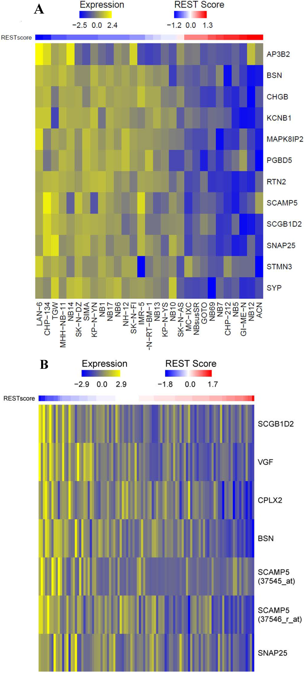 The REST Gene Signature Predicts Drug Sensitivity in Neuroblastoma Cell ...