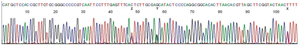 IJMS | Free Full-Text | DNA Sequencing Diagnosis of Off-Season ...