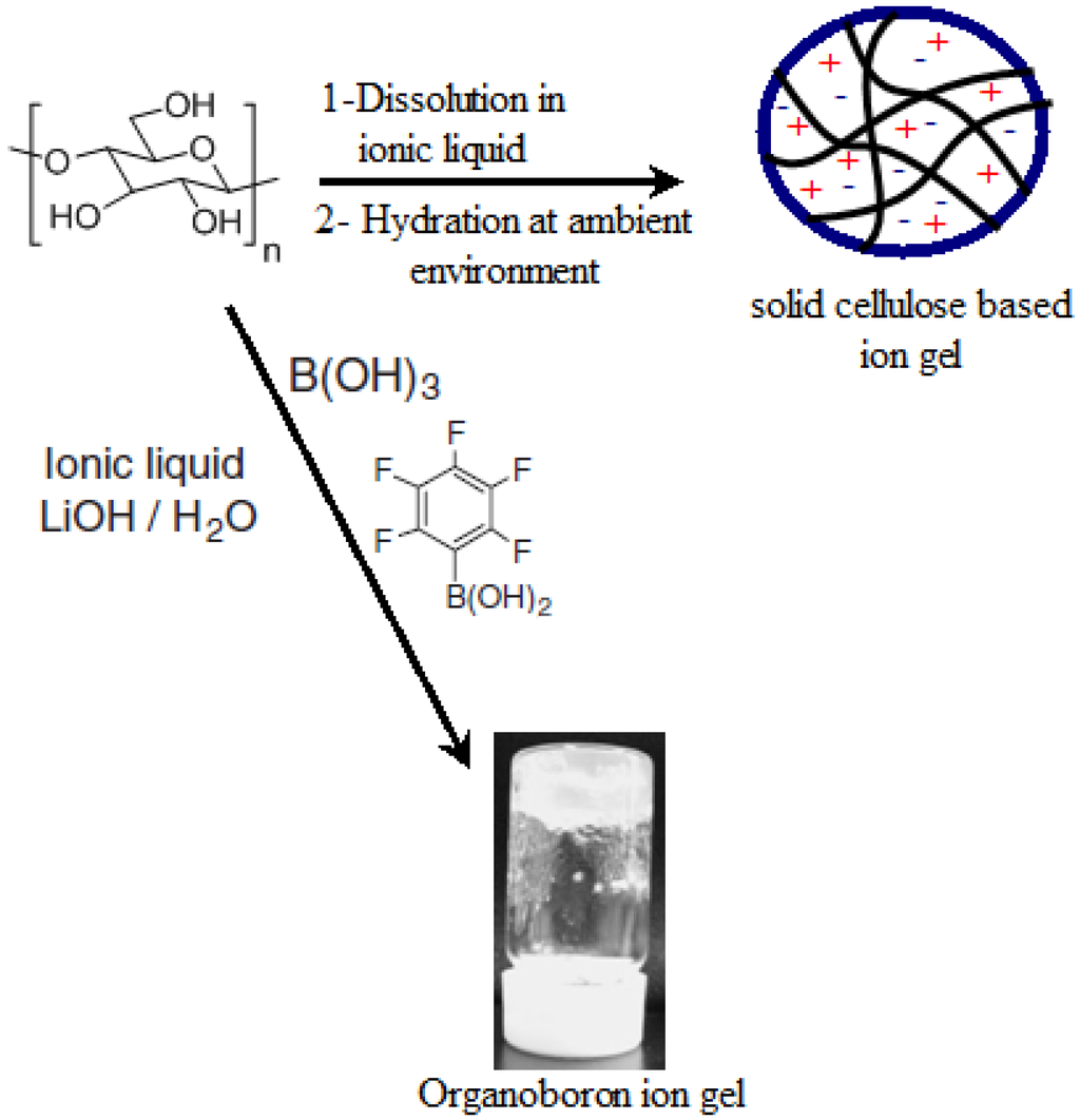 Ijms Special Issue Ionic Liquids 2014 And Selected Papers From Ilmat 2013