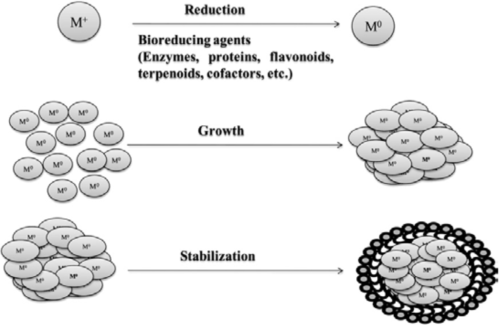 Biosurfactant Mediated Biosynthesis of Selected Metallic Nanoparticles