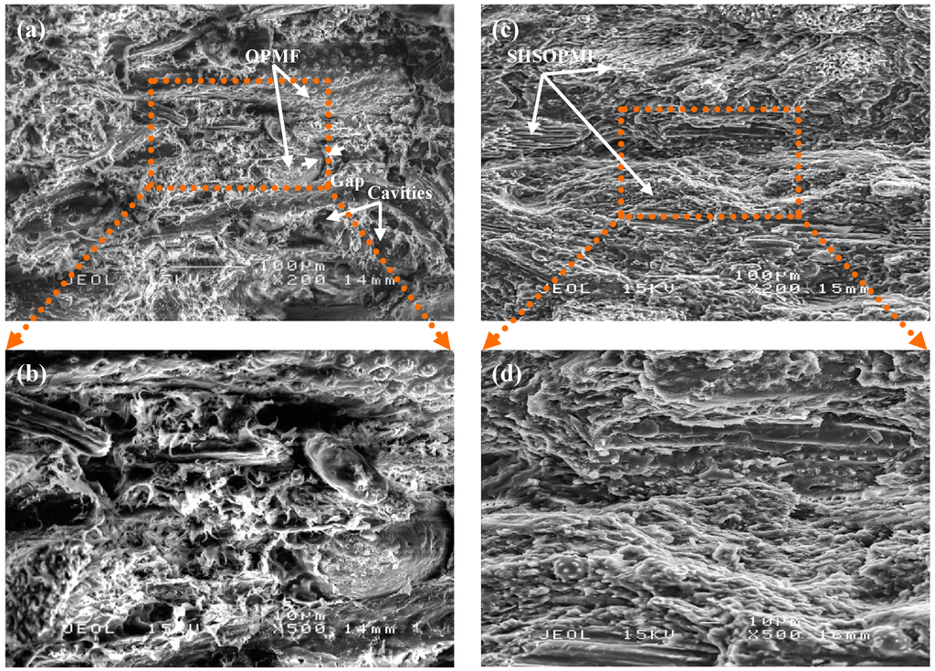 The Influence of Green Surface Modification of Oil Palm Mesocarp Fiber ...