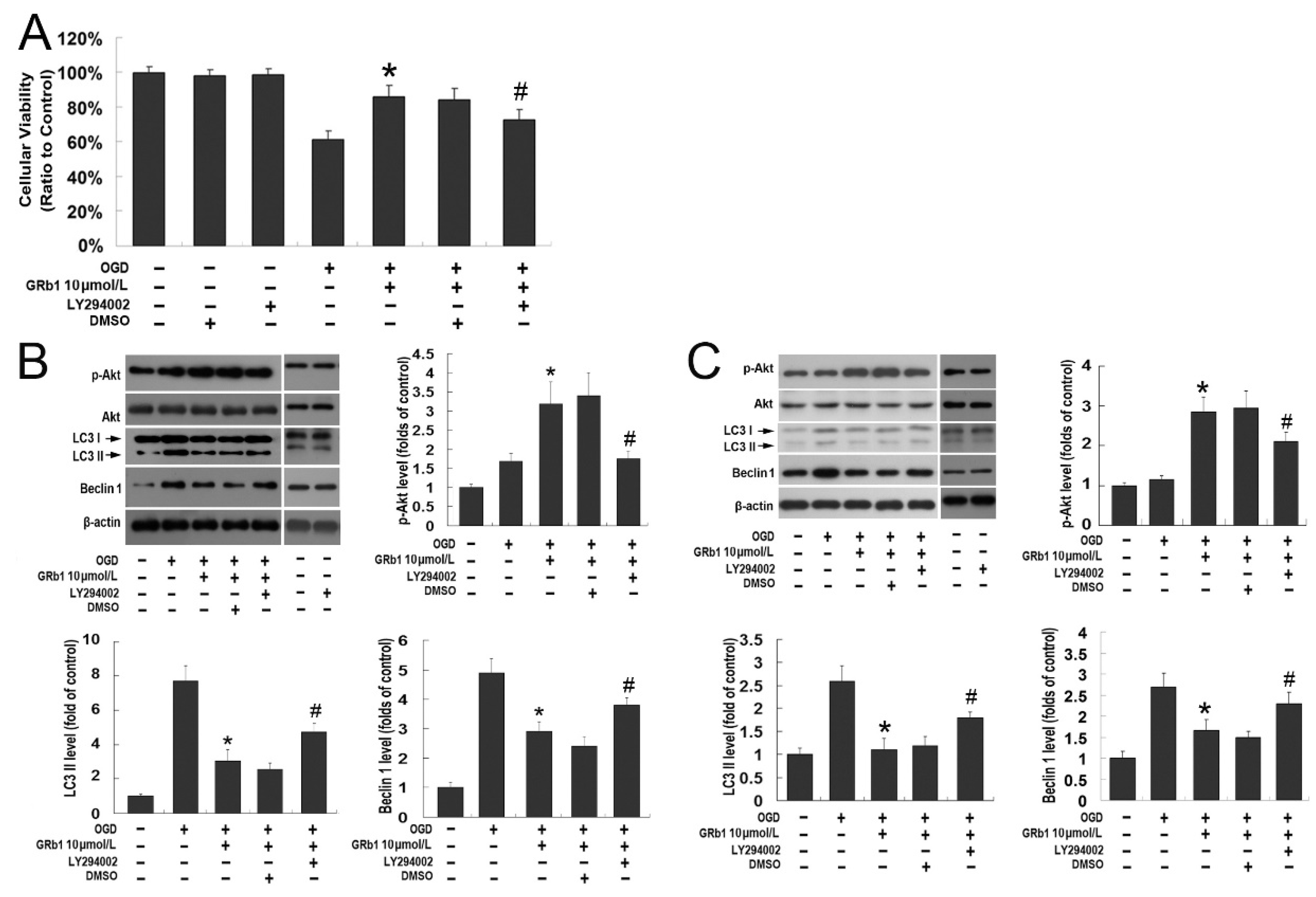 Inhibition of Autophagy via Activation of PI3K/Akt Pathway Contributes ...