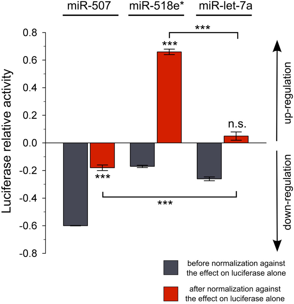 IJMS | Free Full-Text | Comprehensive Luciferase-Based Reporter Gene ...