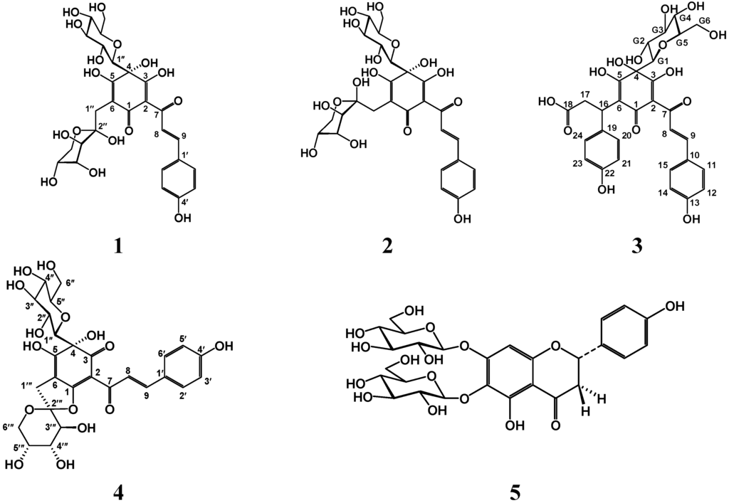 Two New Quinochalcone C-Glycosides from the Florets of Carthamus tinctorius