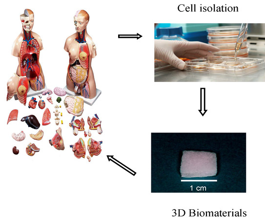 IJMS | Special Issue : Artificial Organs