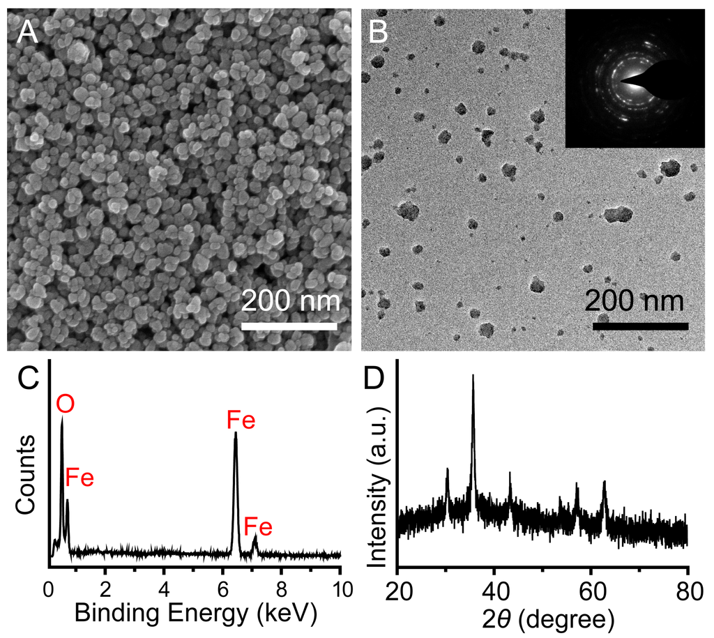 Biocompatible PEGylated Fe3O4 Nanoparticles as Photothermal Agents for Near-Infrared Light ...