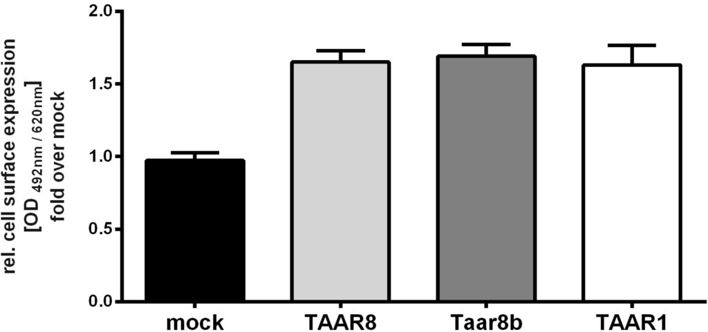 Analysis of Human TAAR8 and Murine Taar8b Mediated Signaling Pathways ...