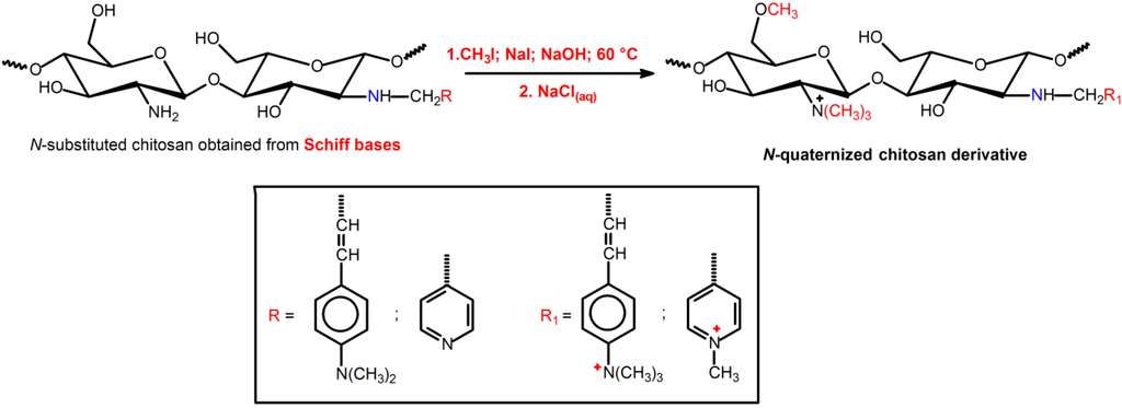 Antimicrobial Activity of Chitosan Derivatives Containing N-Quaternized ...