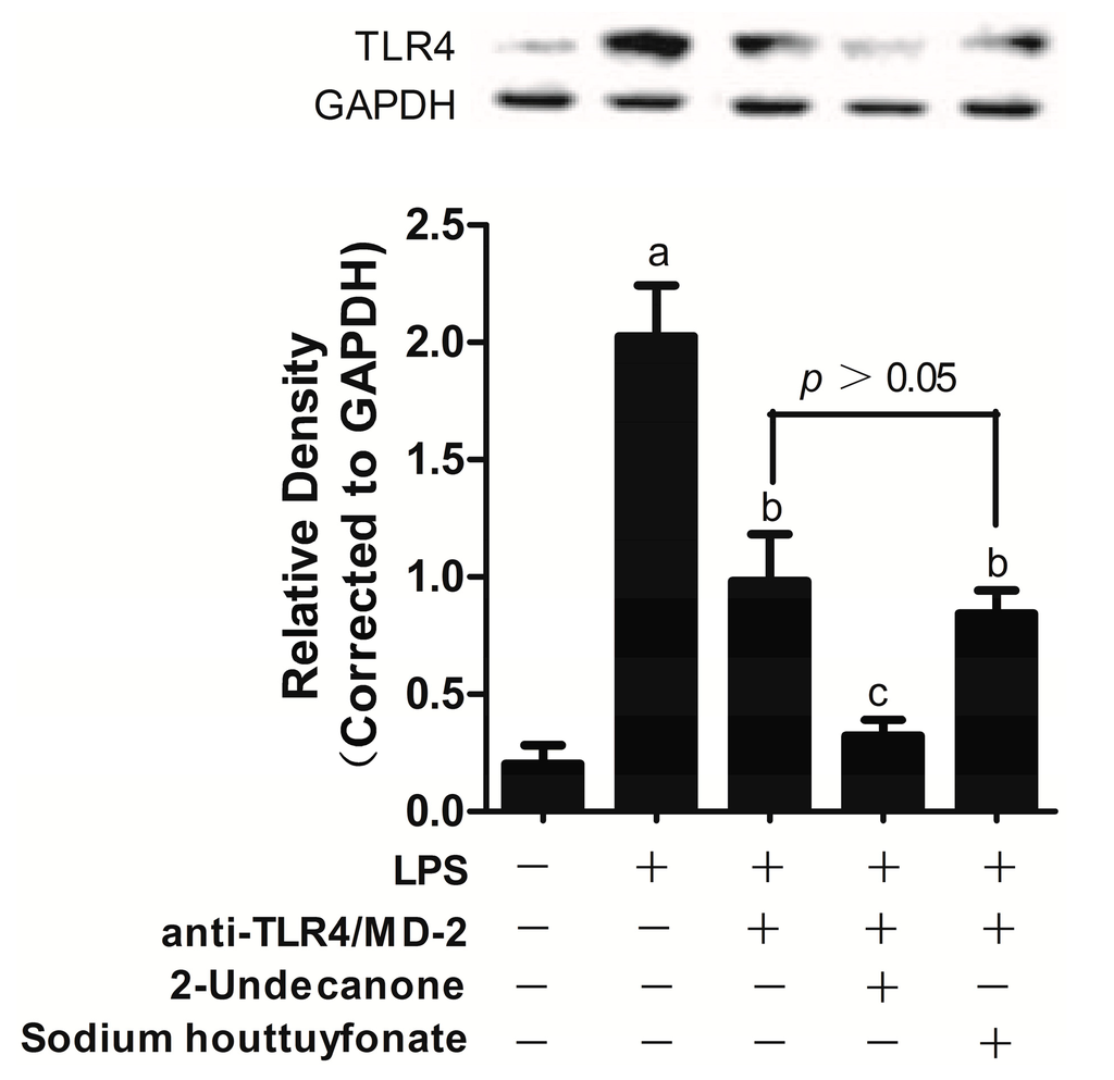 A Comparative Study of Sodium Houttuyfonate and 2-Undecanone for Their ...