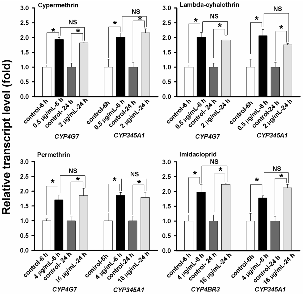 Insecticide-Mediated Up-Regulation of Cytochrome P450 Genes in the Red ...
