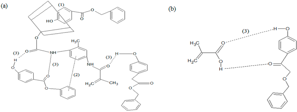 IJMS | Free Full-Text | Exploiting β-Cyclodextrin in Molecular ...