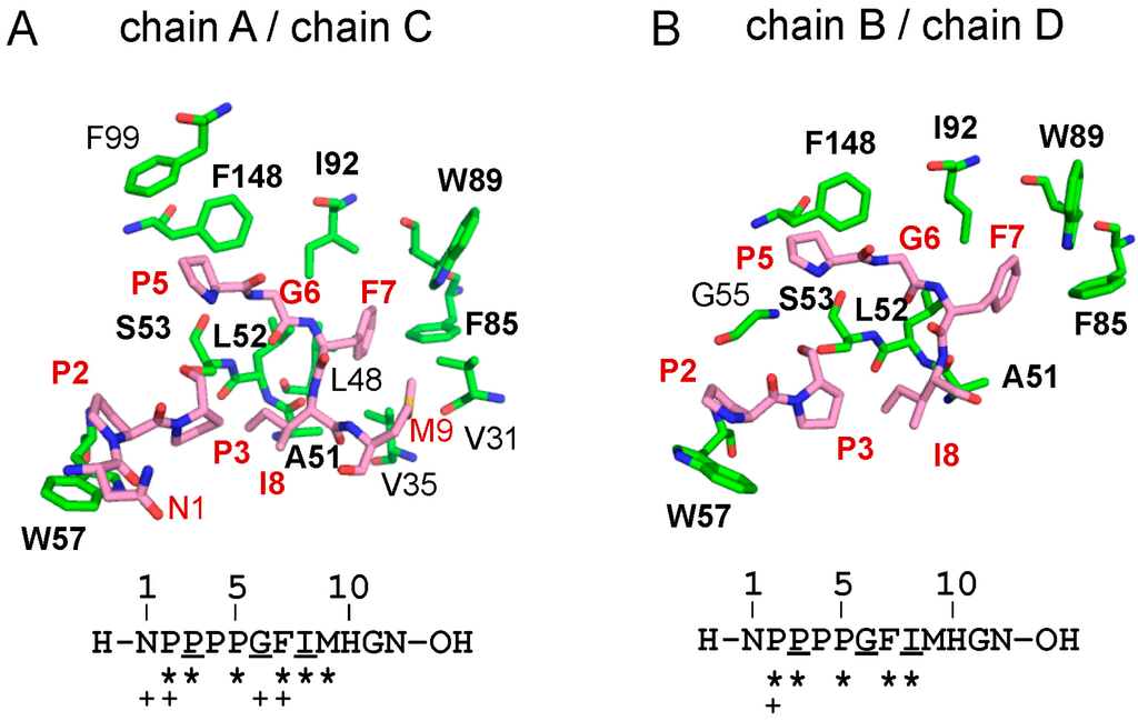 IJMS | Free Full-Text | Structural Analysis of the Complex between ...