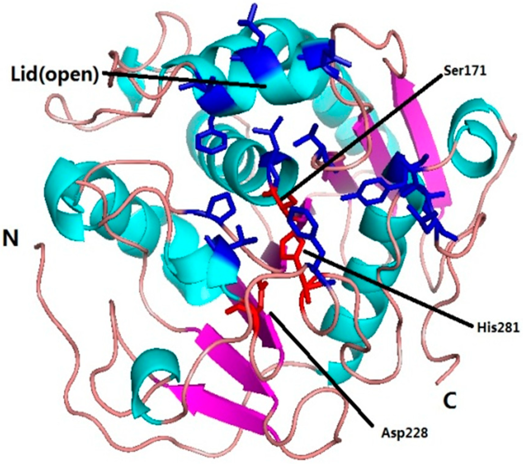 Biochemical Properties and Structure Analysis of a DAG-Like Lipase from ...