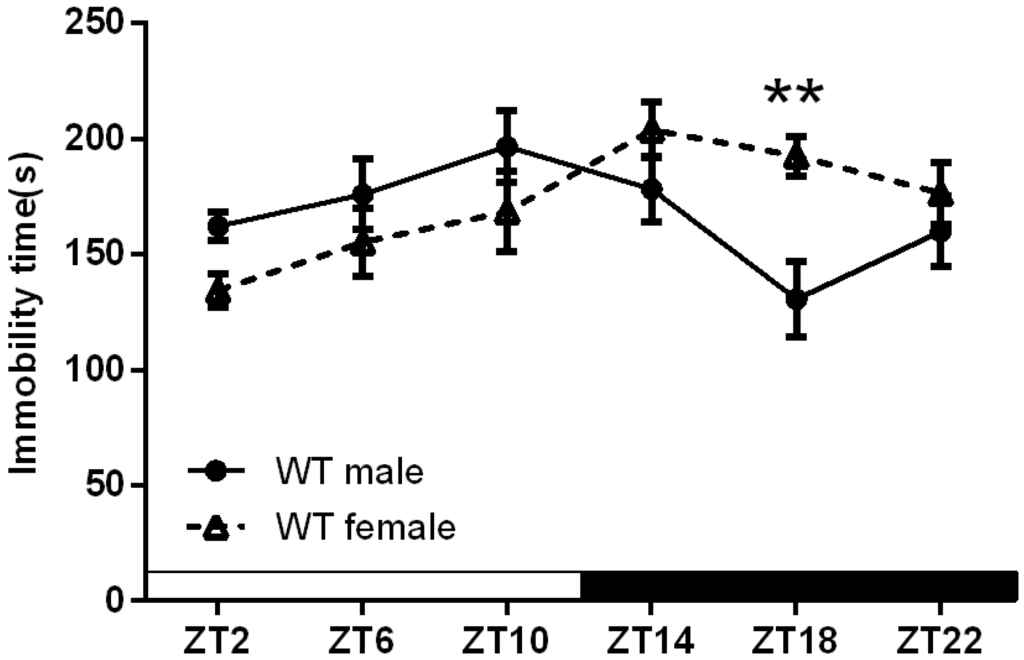 Ijms Free Full Text Sex Specific Diurnal Immobility Induced By
