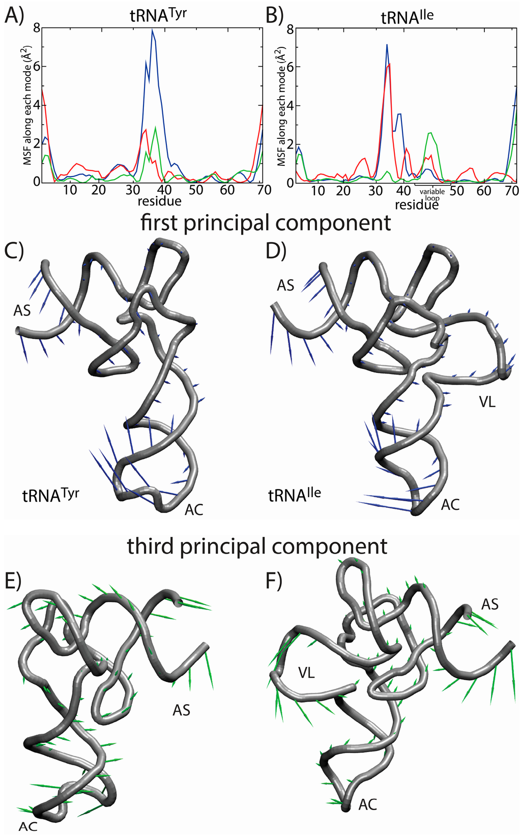 Exploring the Balance between Folding and Functional Dynamics in ...