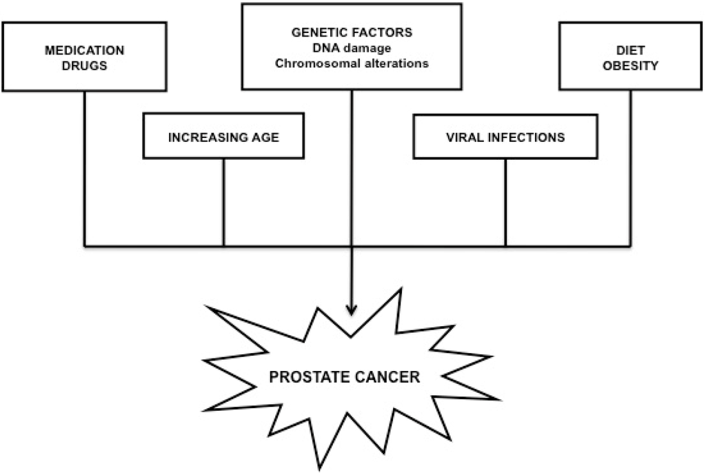 Male Reproductive Cancers and Infertility: A Mutual Relationship