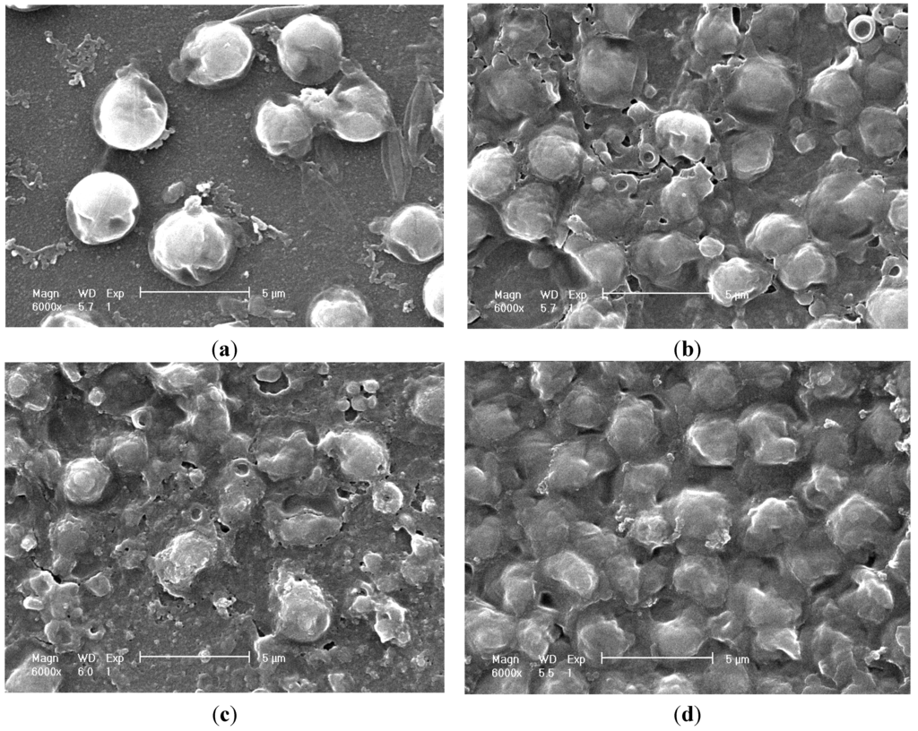 Combined Enzymatic and Mechanical Cell Disruption and Lipid Extraction ...