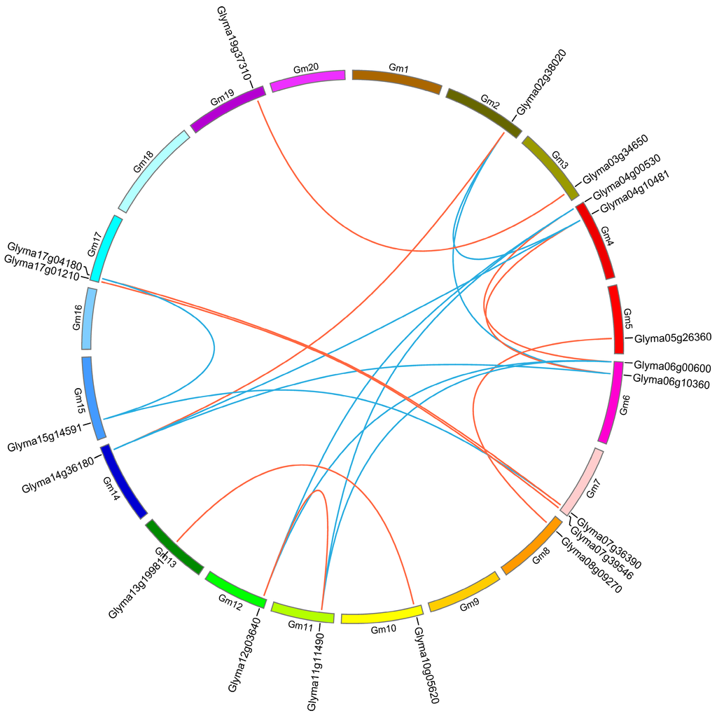 Genome-Wide Identification and Evolution of HECT Genes in Soybean