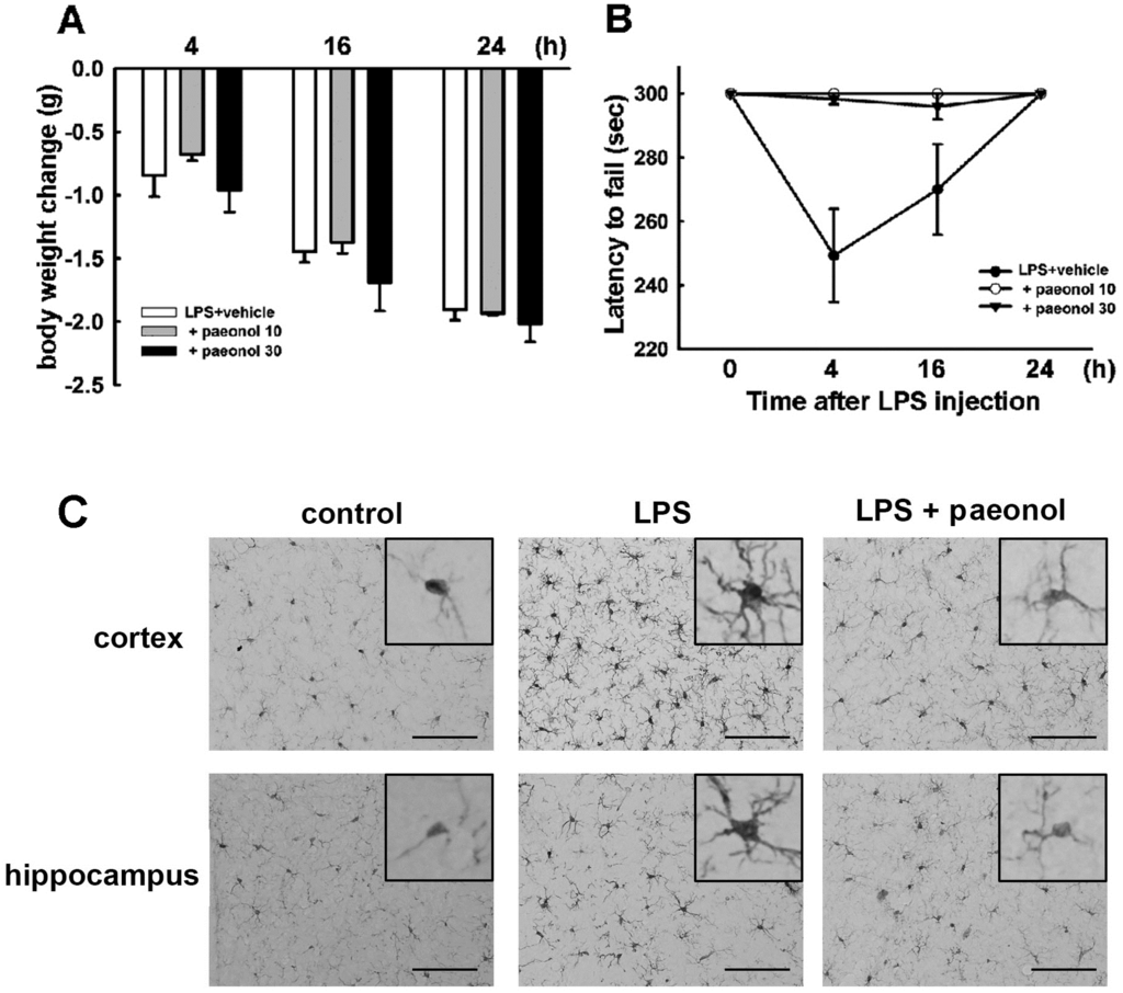 IJMS | Free Full-Text | Effects of Paeonol on Anti-Neuroinflammatory ...