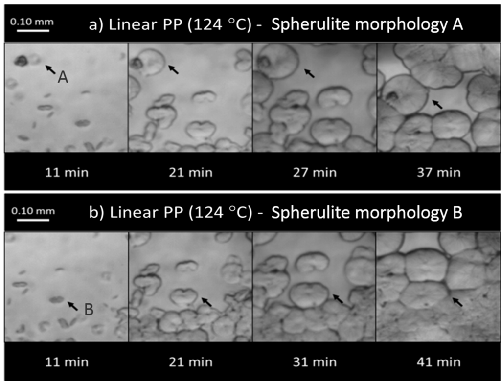 A Polymer Visualization System with Accurate Heating and Cooling ...