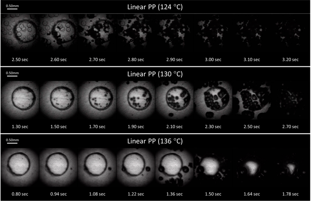 A Polymer Visualization System with Accurate Heating and Cooling ...