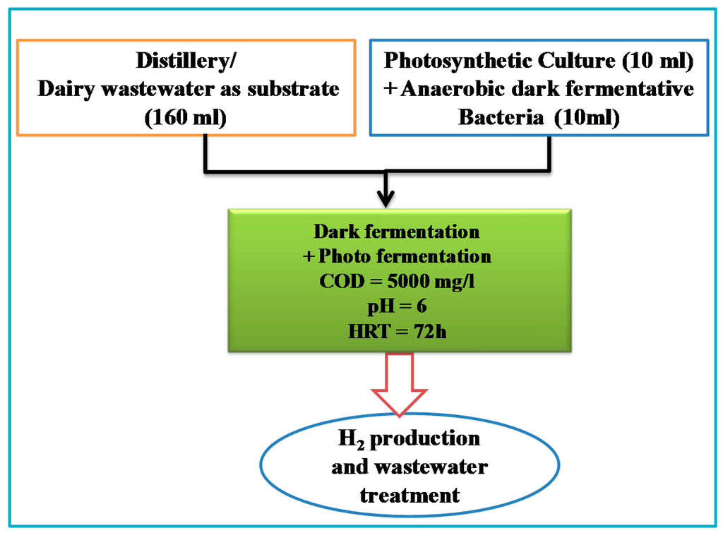 IJMS | Free Full-Text | Single-Stage Operation of Hybrid Dark-Photo ...