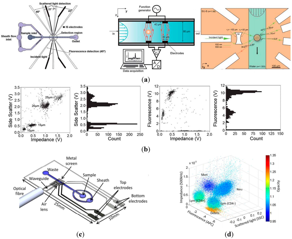 IJMS | Special Issue : Single Cell Analysis in Biotechnology and ... IJMS | Special Issue : Single Cell Analysis in Biotechnology and ...