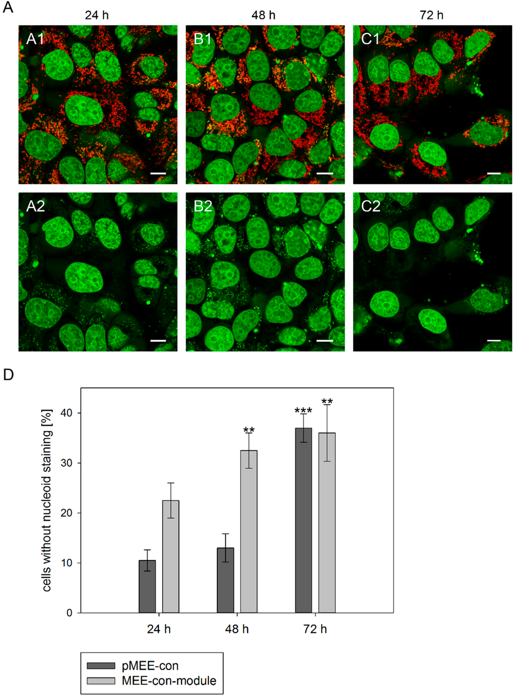 Generation of Rho Zero Cells: Visualization and Quantification of the ...