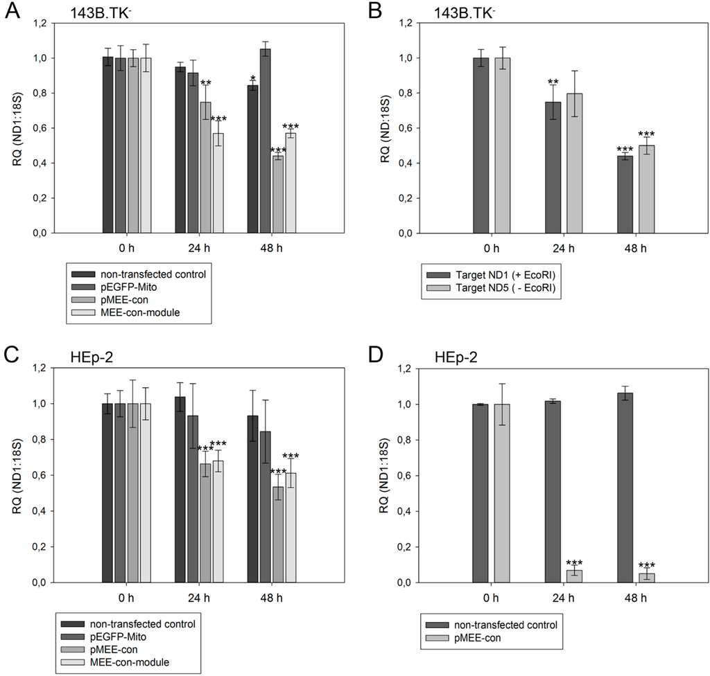 Generation of Rho Zero Cells: Visualization and Quantification of the ...