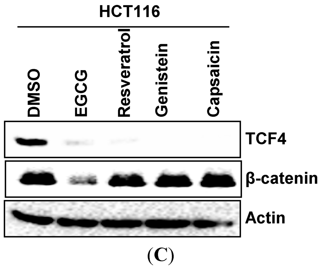 TCF4 Is a Molecular Target of Resveratrol in the Prevention of ...