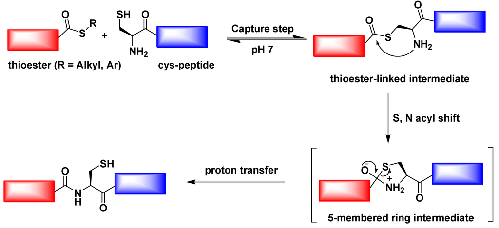 IJMS | Free Full-Text | Chemical Reactions Directed Peptide Self-Assembly