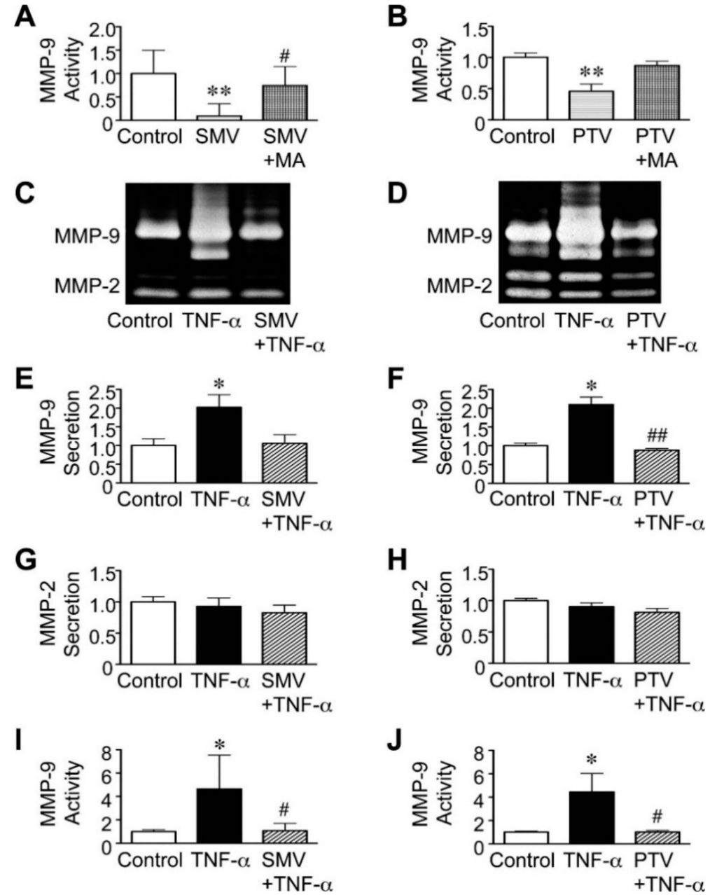 Inhibitory Effect of Statins on Inflammation-Related Pathways in Human ...