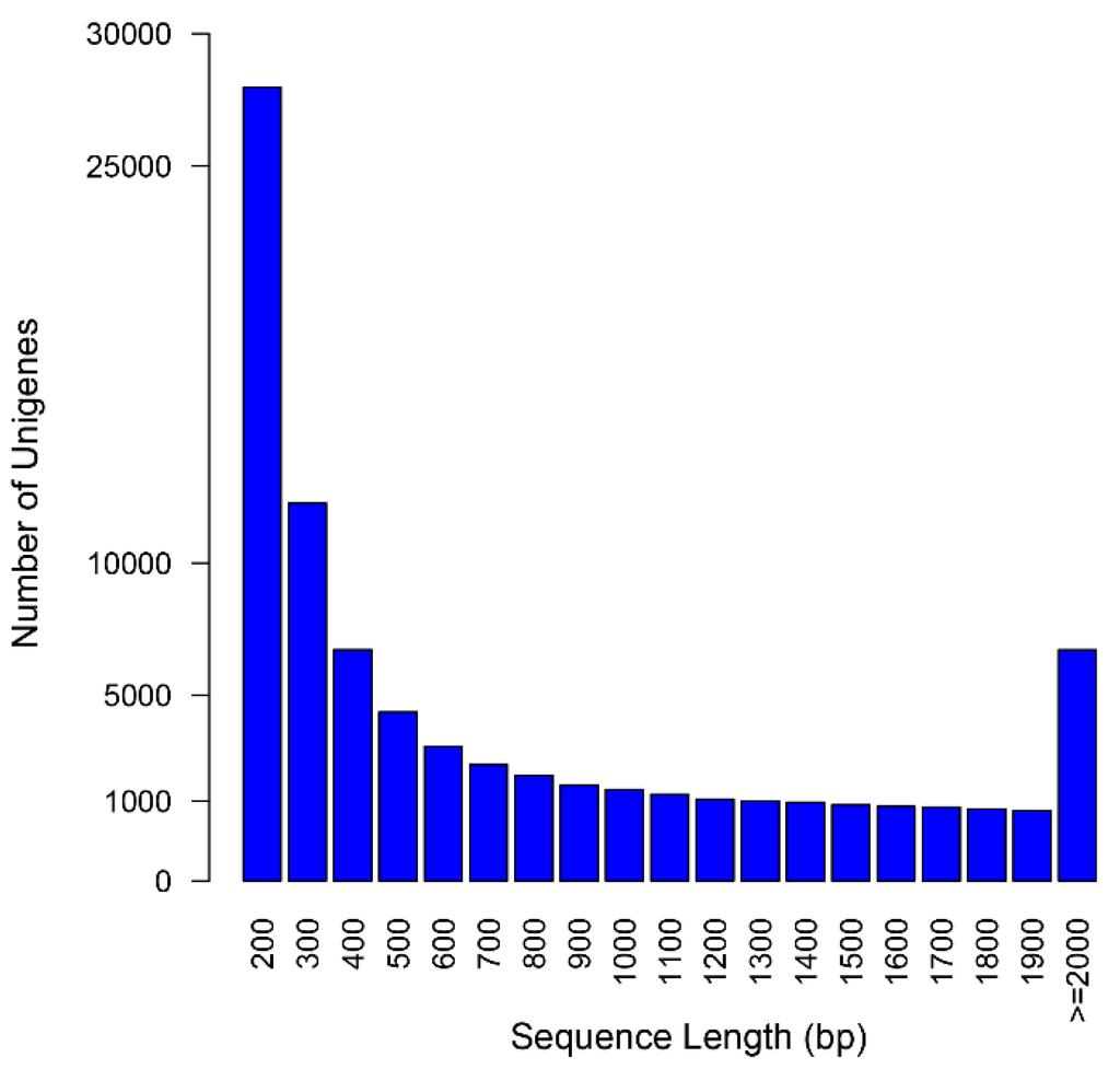 IJMS | Free Full-Text | De Novo Assembly and Characterization of the ...