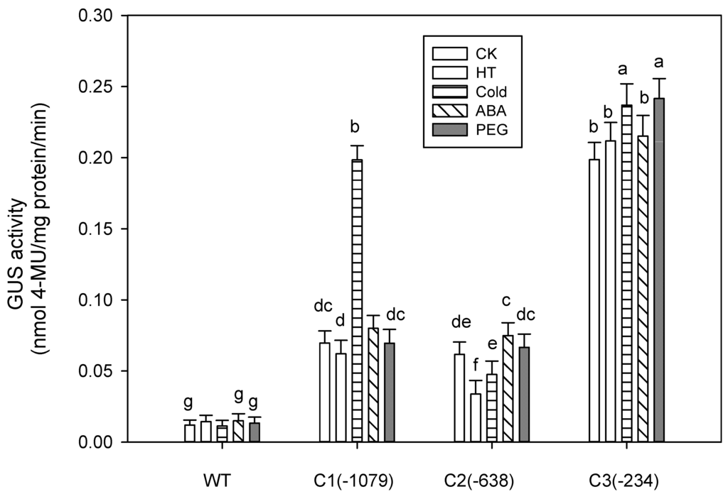 Functional Analysis of the Maize C-Repeat/DRE Motif-Binding ...