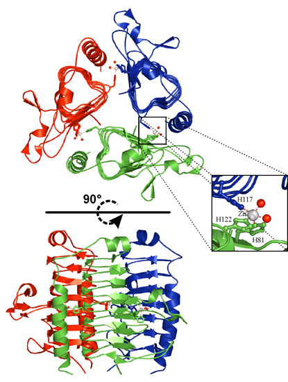 IJMS | Special Issue : Protein Crystallography in Molecular Biology 2015