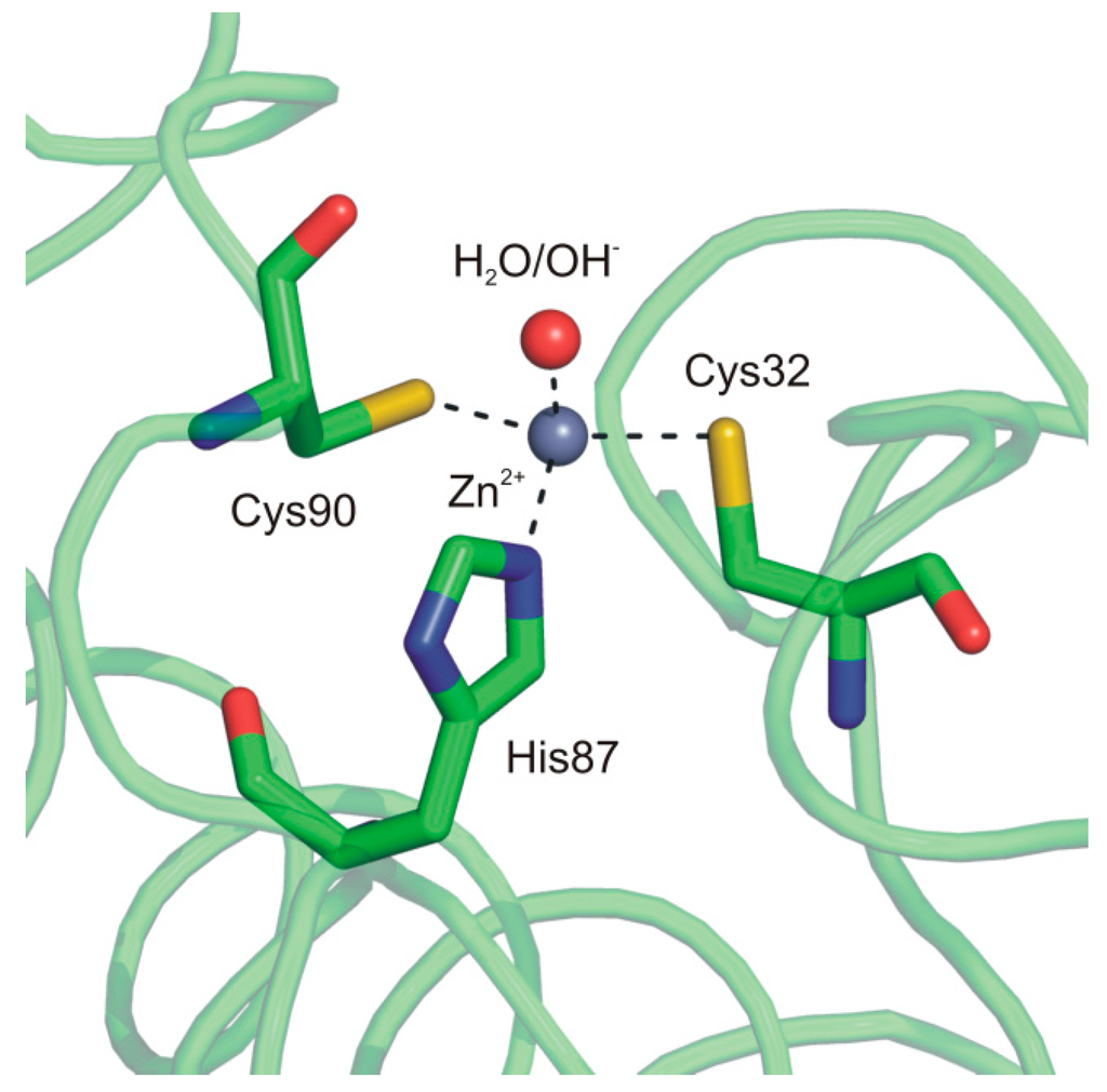 Thermostable Carbonic Anhydrases in Biotechnological Applications
