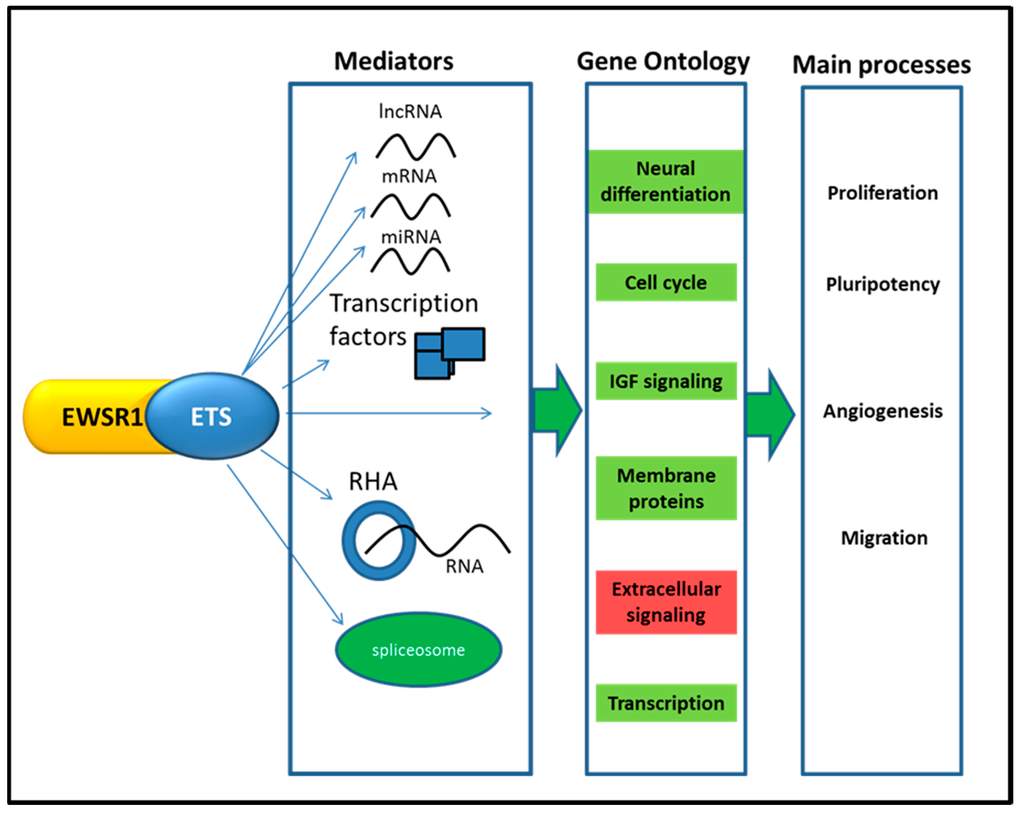 Sequencing Overview of Ewing Sarcoma: A Journey across Genomic ...