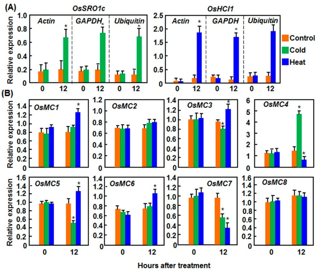 Stress-Responsive Expression, Subcellular Localization and Protein ...