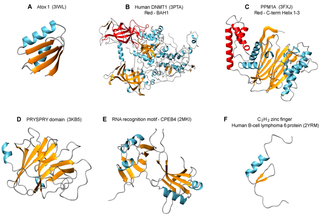 Identification of New Potential Interaction Partners for Human ...
