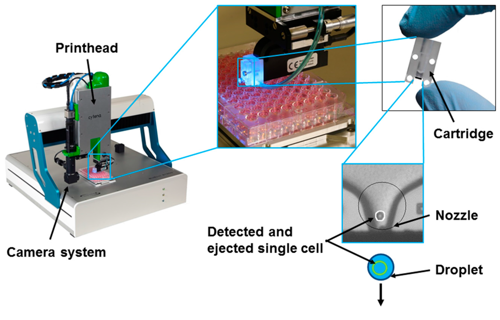 Technologies for Single-Cell Isolation