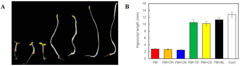 Fenarimol, a Pyrimidine-Type Fungicide, Inhibits Brassinosteroid ...