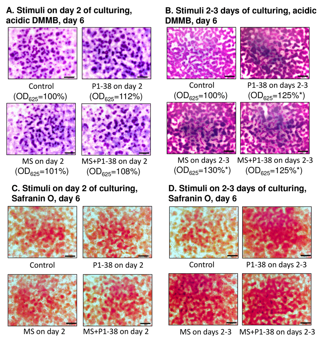 Pituitary Adenylate Cyclase Activating Polypeptide (PACAP) Pathway Is ...
